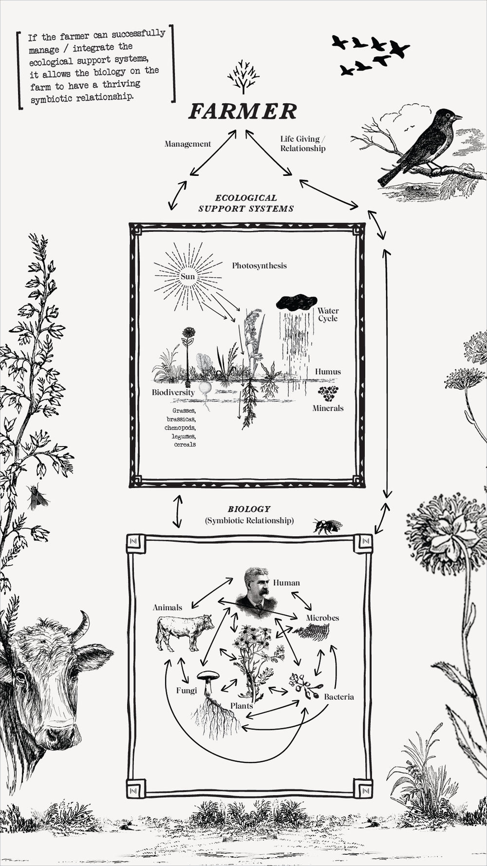 What is Regenerative Beef? – Highlands Natural