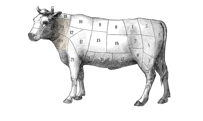 Y-Bone Steak – Highlands Natural